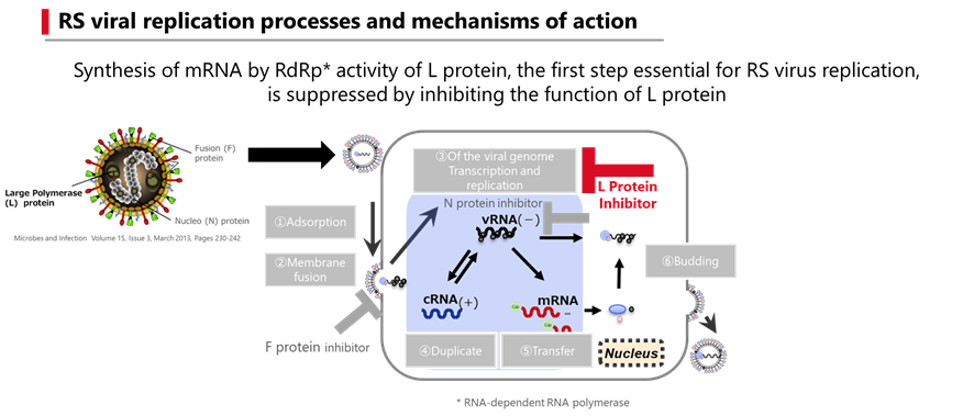 Research Topics | Drug discovery | Shionogi & Co., Ltd.